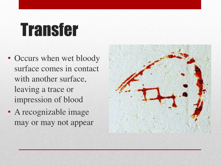 PPT - Blood Spatter Analysis PowerPoint Presentation - ID:1963294
