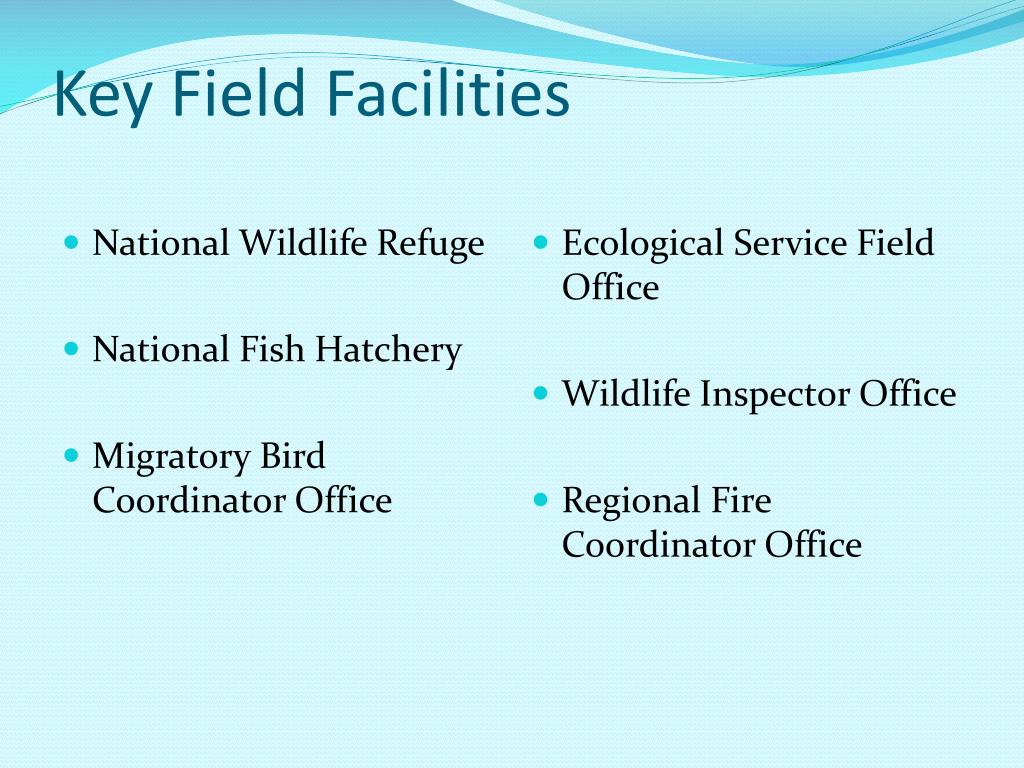 PPT - Youth in the Great Outdoors PowerPoint Presentation, free ...