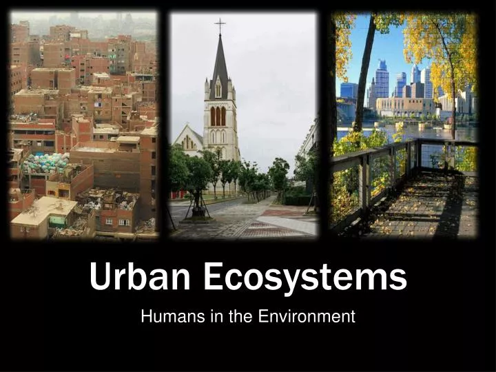 PPT - Urban Ecosystems PowerPoint Presentation, free download - ID:1965217