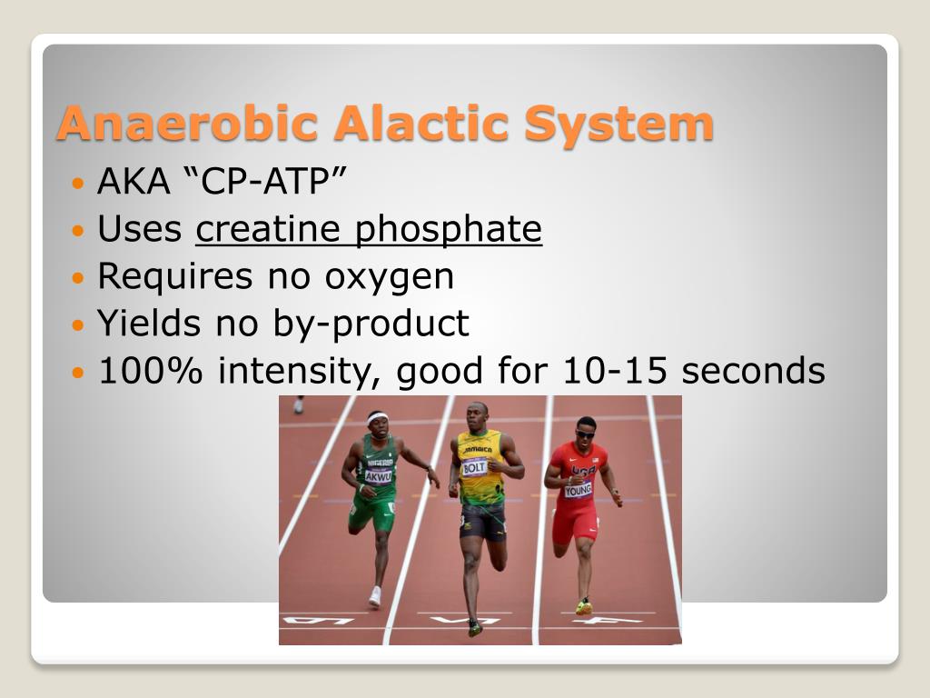 PPT - Understanding Cardiovascular Fitness and Energy Systems ...