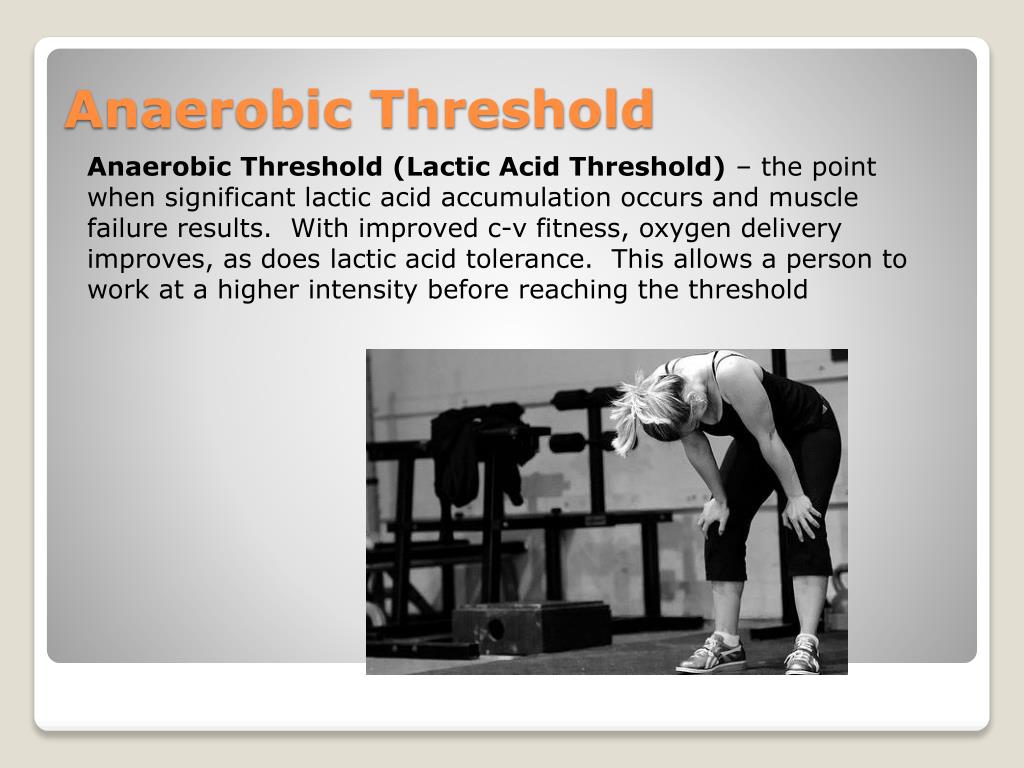 PPT - Understanding Cardiovascular Fitness and Energy Systems ...