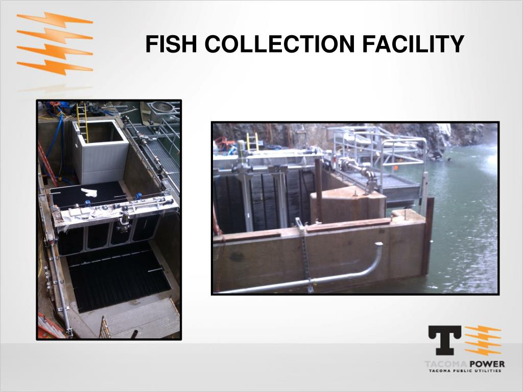 PPT - North Fork skokomish Powerhouse & fish facilities PowerPoint ...