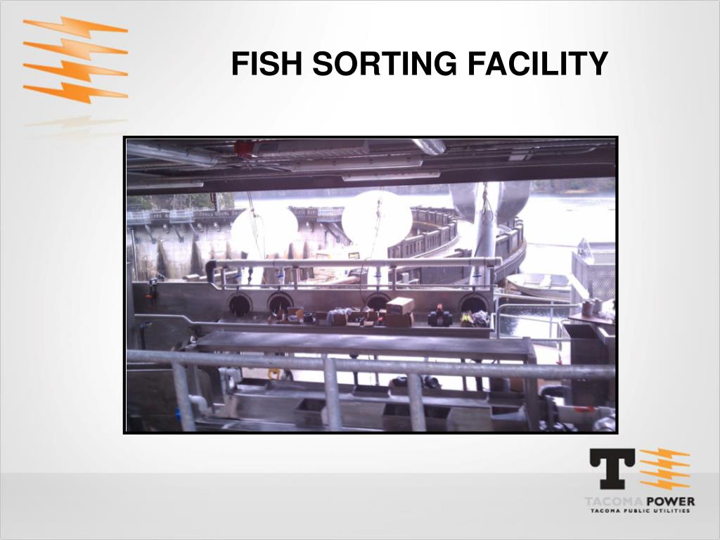 PPT - North Fork skokomish Powerhouse & fish facilities PowerPoint ...