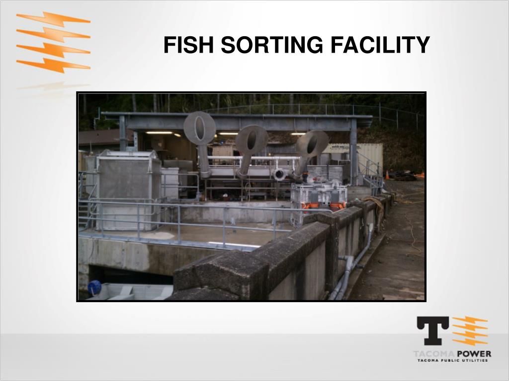 PPT - North Fork skokomish Powerhouse & fish facilities PowerPoint ...