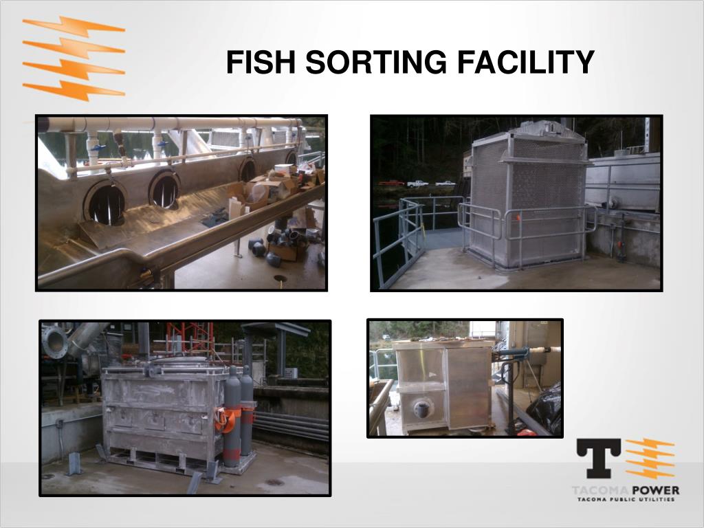 PPT - North Fork skokomish Powerhouse & fish facilities PowerPoint ...