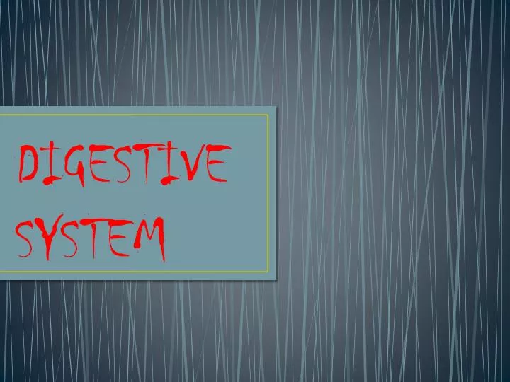 PPT - DIGESTIVE SYSTEM PowerPoint Presentation, free download - ID:1966418