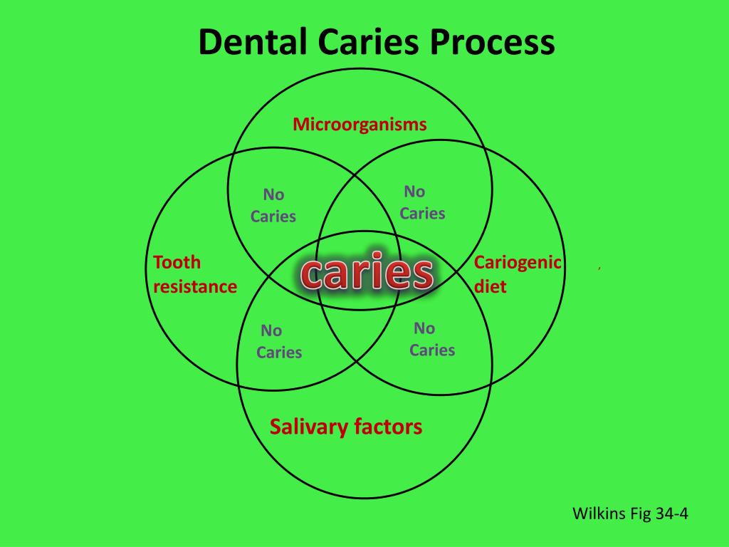 PPT - Dietary Factors that Affect The Oral Cavity PowerPoint ...