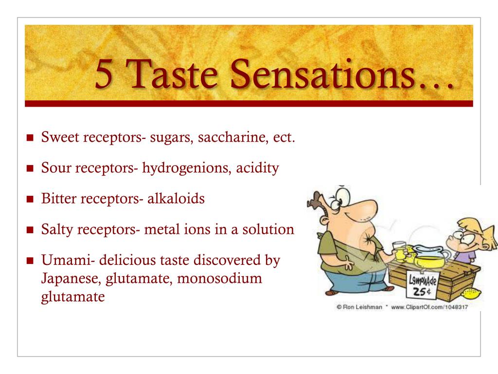 PPT - Part III: Chemical Senses- Taste & Smell PowerPoint Presentation ...