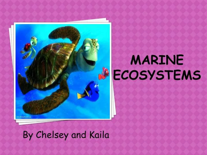 PPT - Marine Ecosystems PowerPoint Presentation, free download - ID:1967294