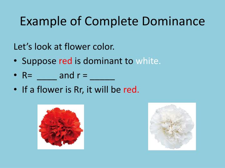 PPT - Exceptions to Mendel’s Rules PowerPoint Presentation - ID:1967380