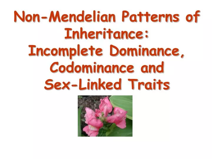 Ppt Non Mendelian Patterns Of Inheritance Incomplete Dominance