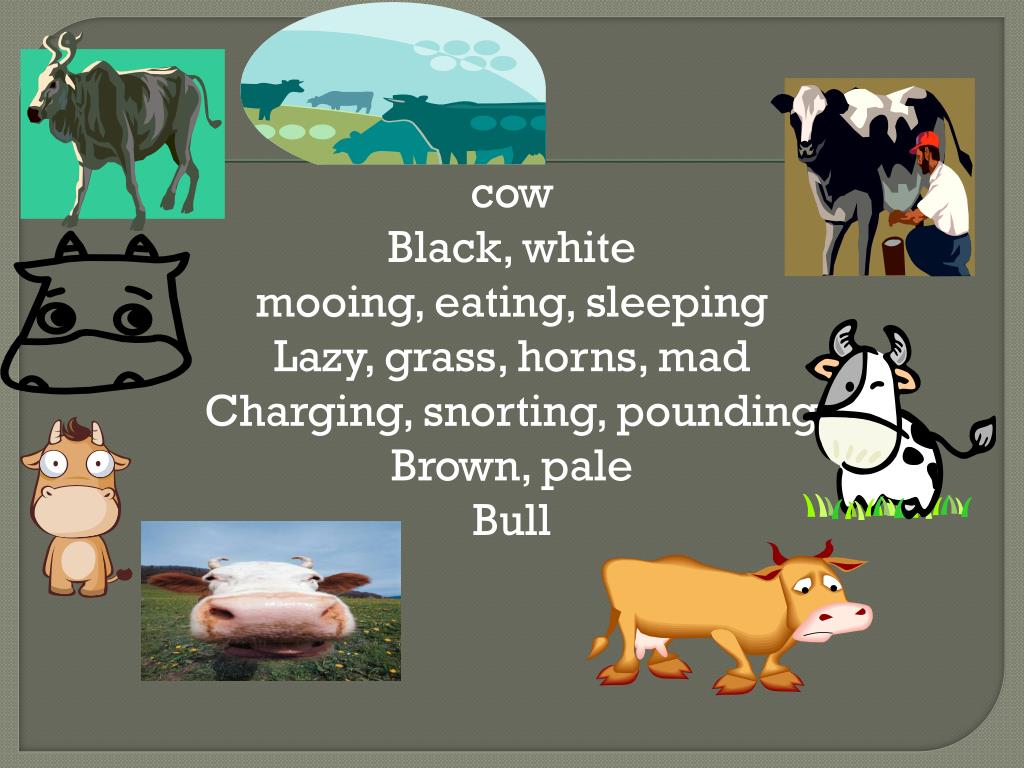 PPT - Diamante Antonym Poetry Collection PowerPoint Presentation, free ...