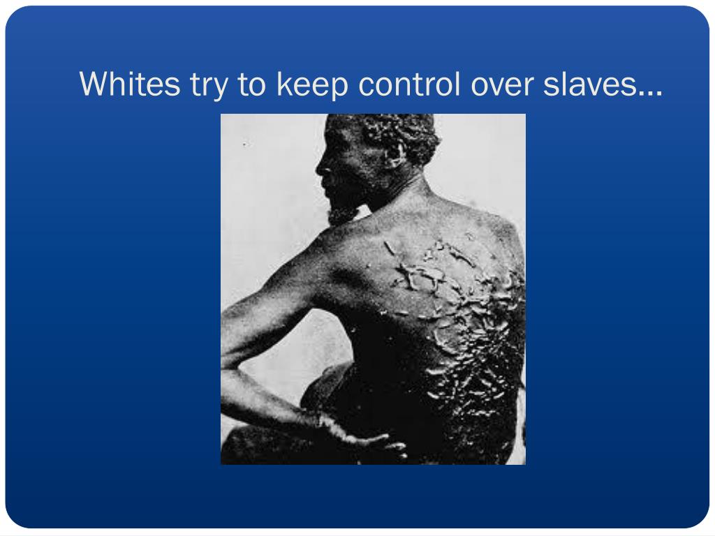 PPT - The Genesis of American Slavery PowerPoint Presentation, free ...