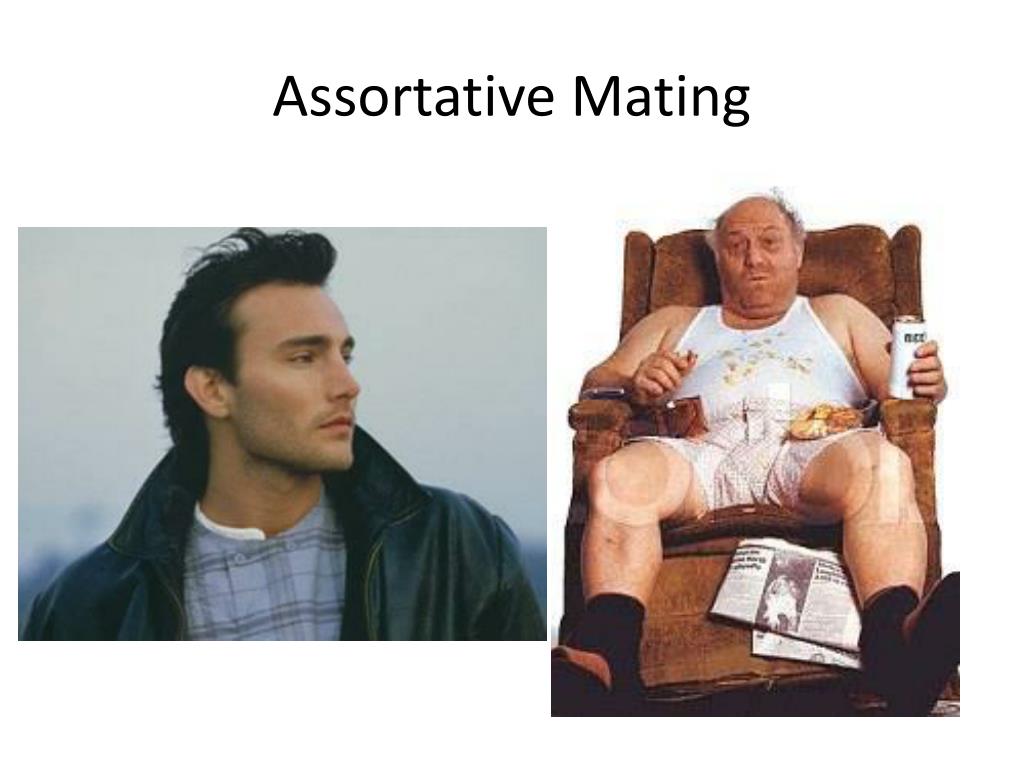 PPT - Biology 212 Chapter 23 The Evolution of Populations PowerPoint ...