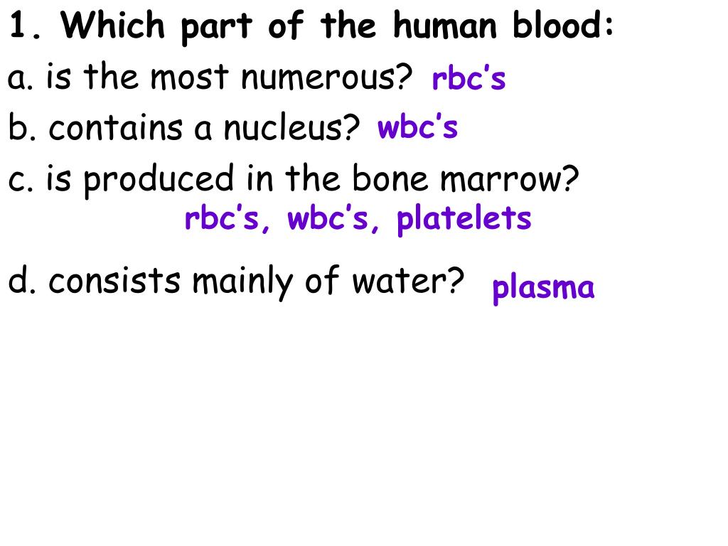 PPT - 7A REVIEW Circulatory, Respiratory & Excretory Systems PowerPoint ...