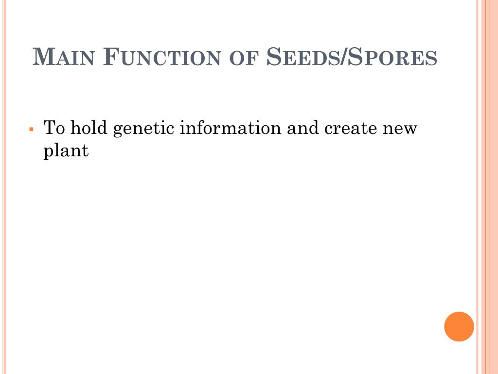 PPT - Plants: Roots, Stems, Leaves, seeds and Flowers PowerPoint ...