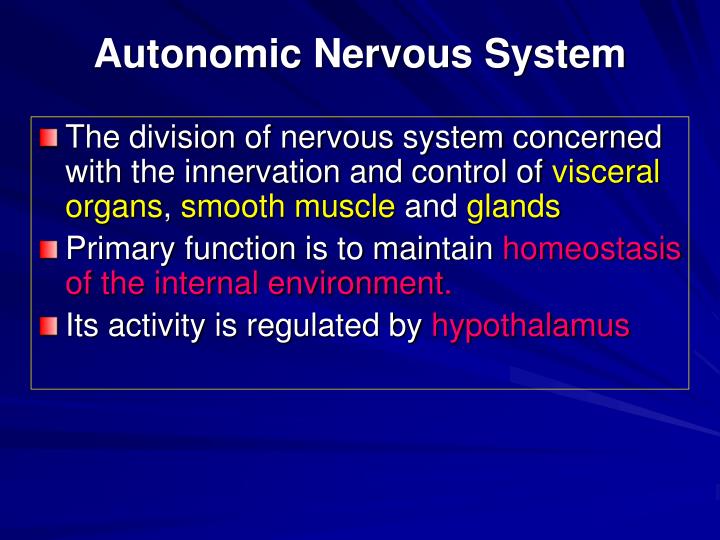 PPT - Autonomic Nervous System PowerPoint Presentation - ID:1968771