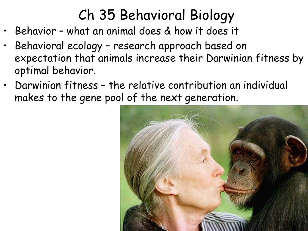 PPT - Ch 35 Behavioral Biology PowerPoint Presentation, free download ...
