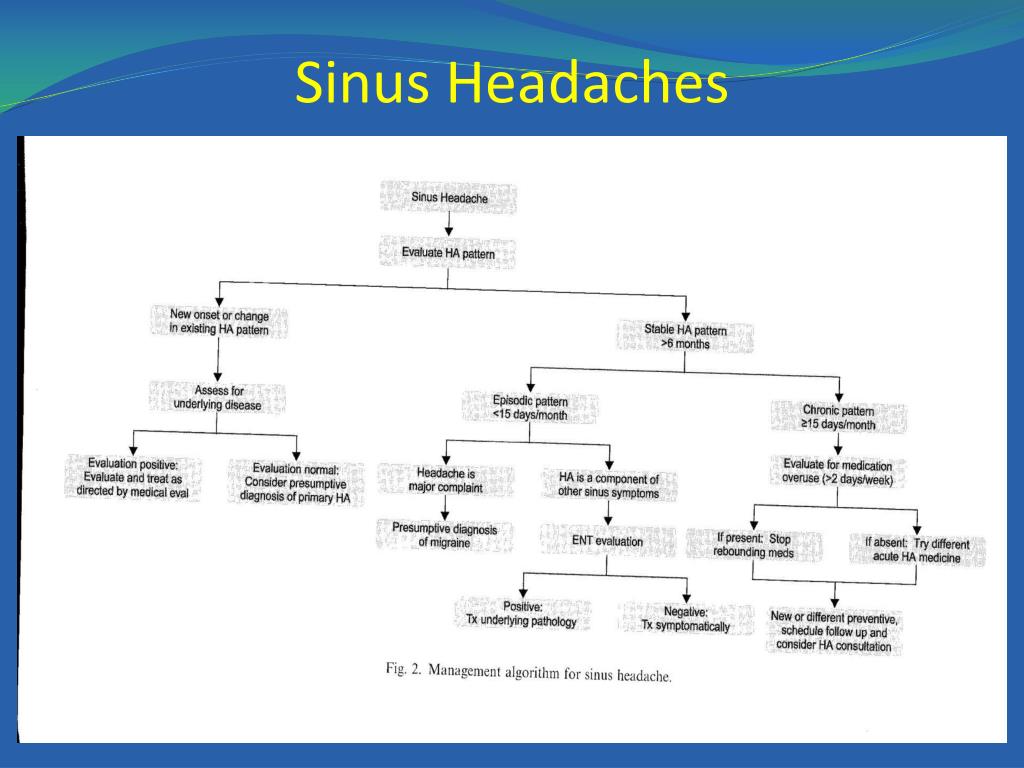 PPT - Sinusitis : Assessment, Diagnosis and Treatment Sometimes It I s ...