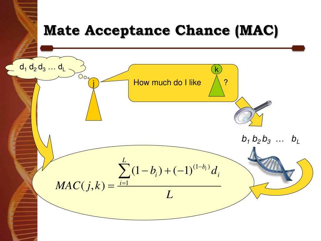 PPT - Advanced Mate Selection in Evolutionary Algorithms PowerPoint ... PPT - Advanced Mate Selection in Evolutionary Algorithms PowerPoint ...