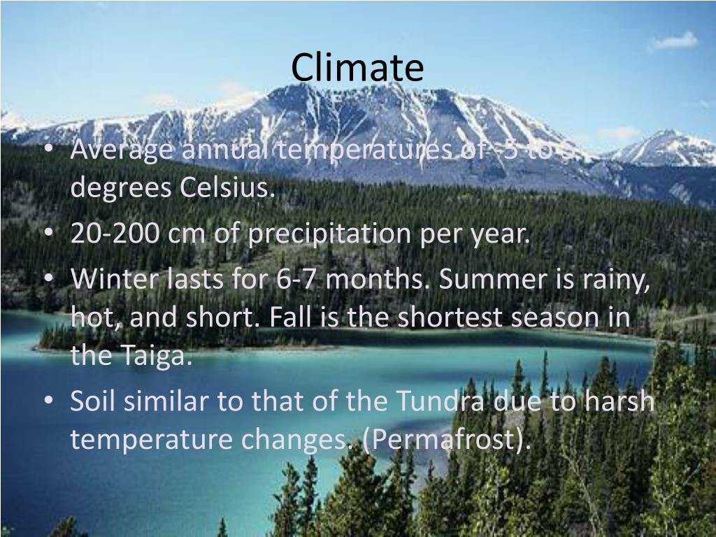 PPT - Taiga(Boreal Forest) “The best biome this side of the equator ...