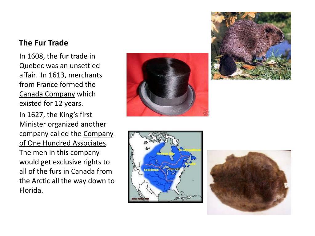 PPT - The Birth of New France PowerPoint Presentation, free download ...
