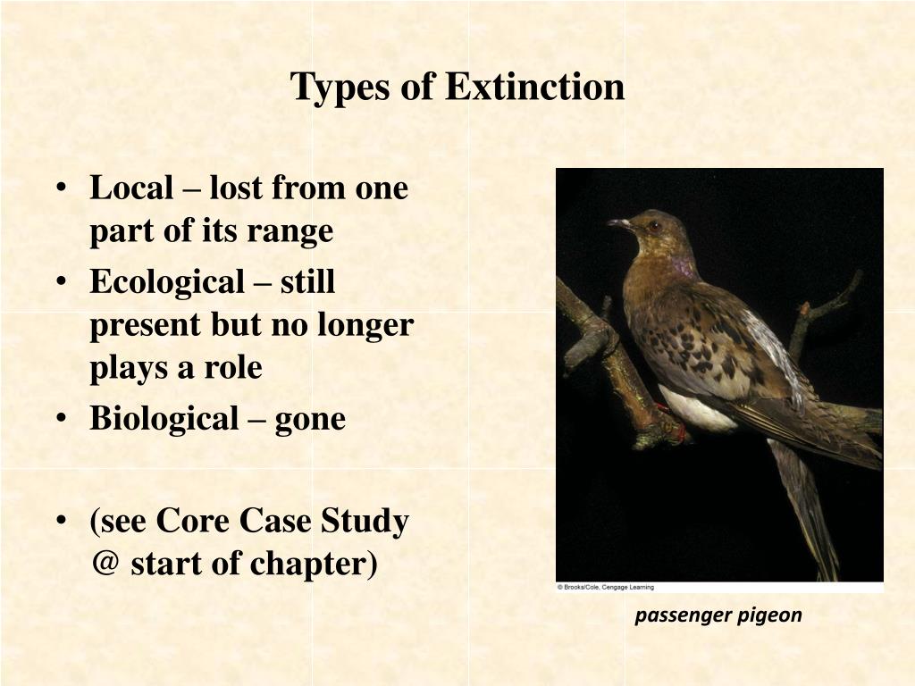 PPT - Human footprint – A measure of the human influence globally ...