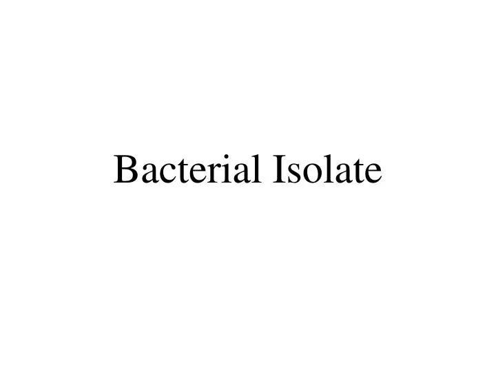 PPT - Bacterial Isolate PowerPoint Presentation, free download - ID:1972334