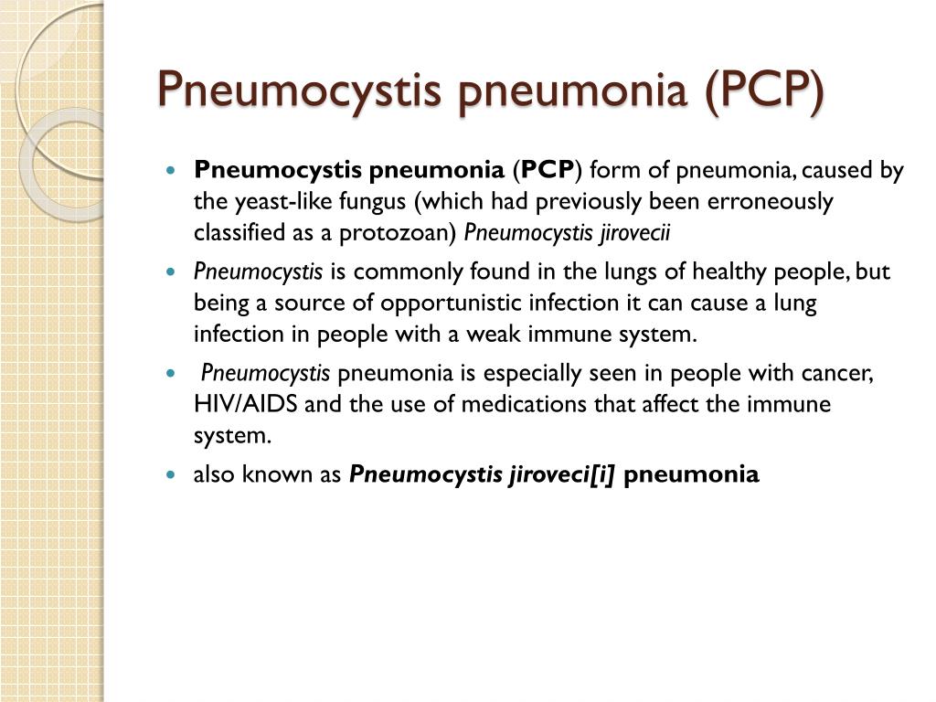 PPT - Respiratory Pharmacology Week 6 PowerPoint Presentation, free ...