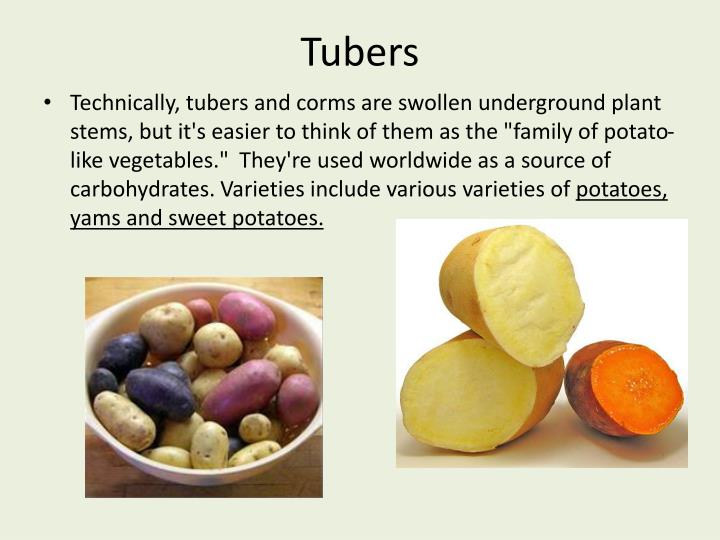 PPT - Vegetables: Categories and Classification PowerPoint Presentation ...