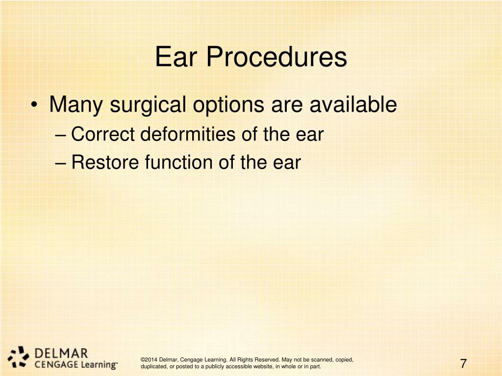 PPT - CHAPTER 17 PowerPoint Presentation, free download - ID:1972574