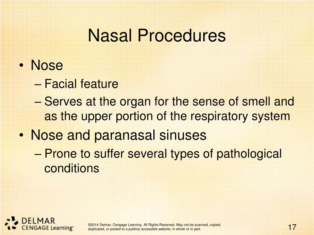 PPT - CHAPTER 17 PowerPoint Presentation, free download - ID:1972574