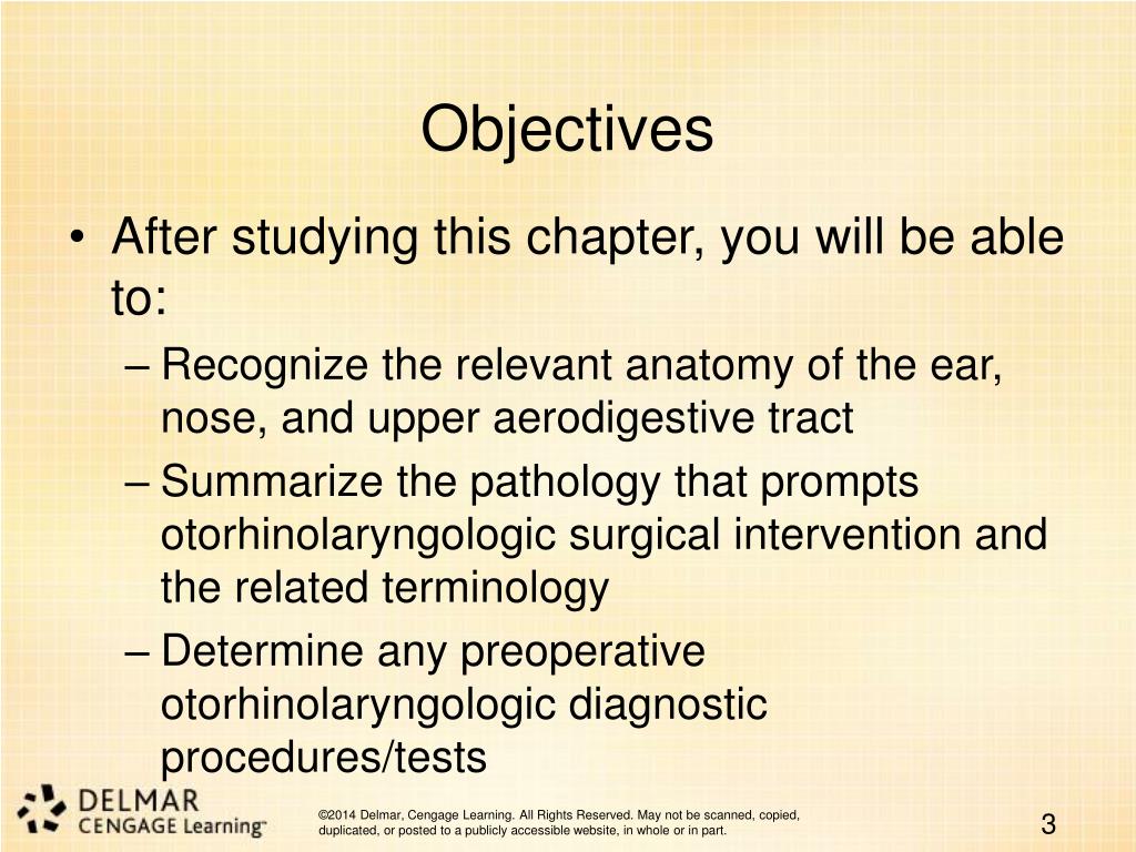 PPT - CHAPTER 17 PowerPoint Presentation, free download - ID:1972574