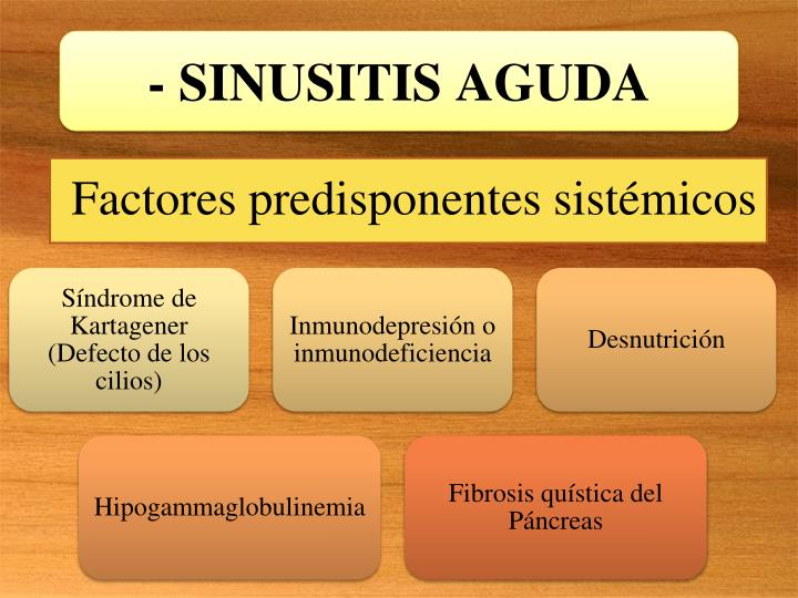 PPT - Sinusitis PowerPoint Presentation - ID:1972590