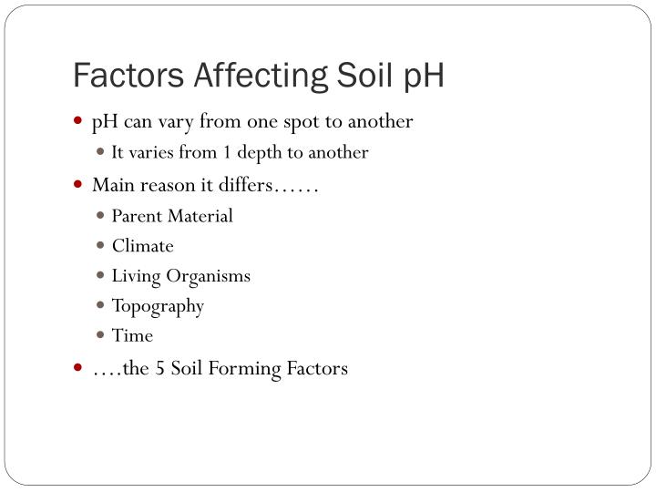 PPT - Acidity & Alkalinity PowerPoint Presentation - ID:1972605