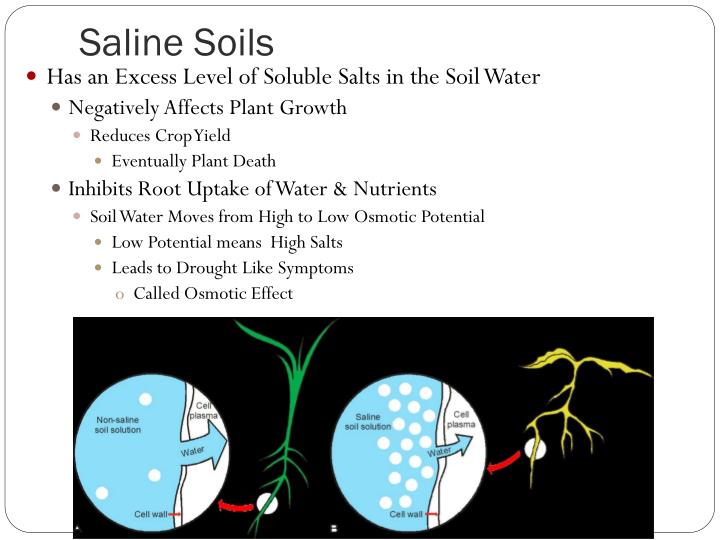 PPT - Acidity & Alkalinity PowerPoint Presentation - ID:1972605
