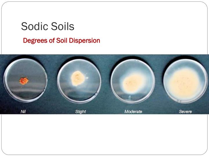 PPT - Acidity & Alkalinity PowerPoint Presentation - ID:1972605