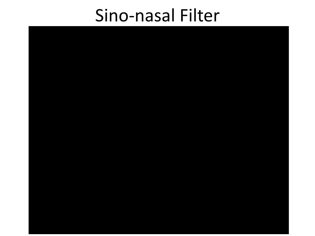 PPT - New Treatments for Sinus Disease PowerPoint Presentation, free ...