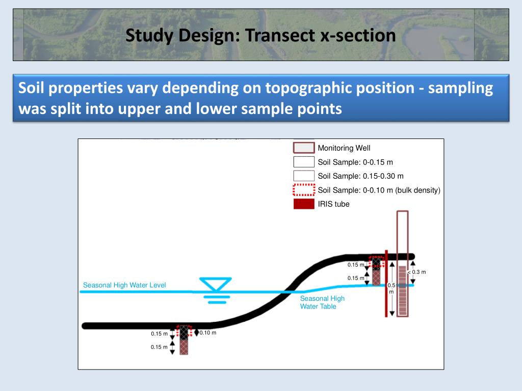 PPT - Comparison of Soil and Vegetation in Restored vs. Natural ...