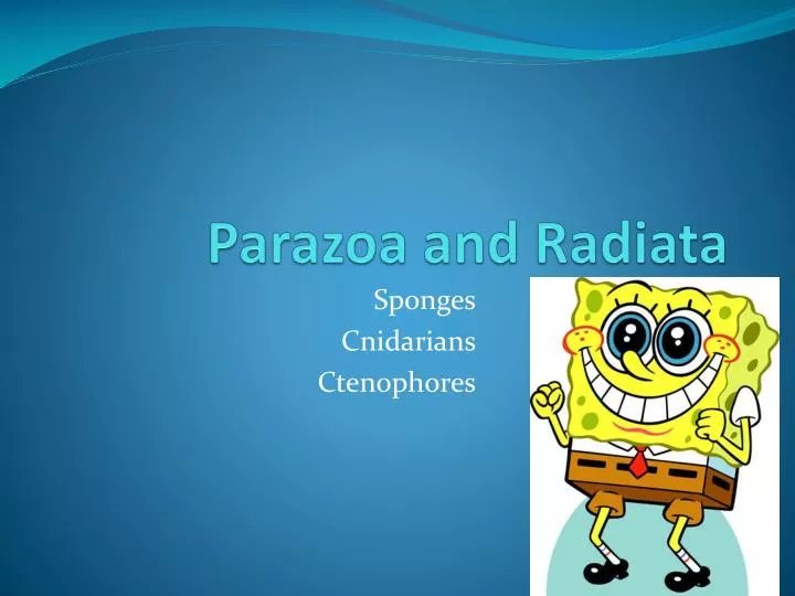 PPT - Parazoa and Radiata PowerPoint Presentation, free download - ID ...