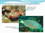 PPT - Internal Physiology of Fishes PowerPoint Presentation - ID:1973172