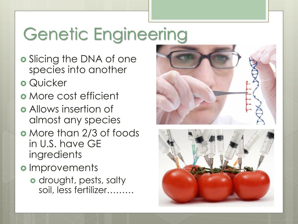 PPT - The environmental imperative of Sustainable Agriculture ...