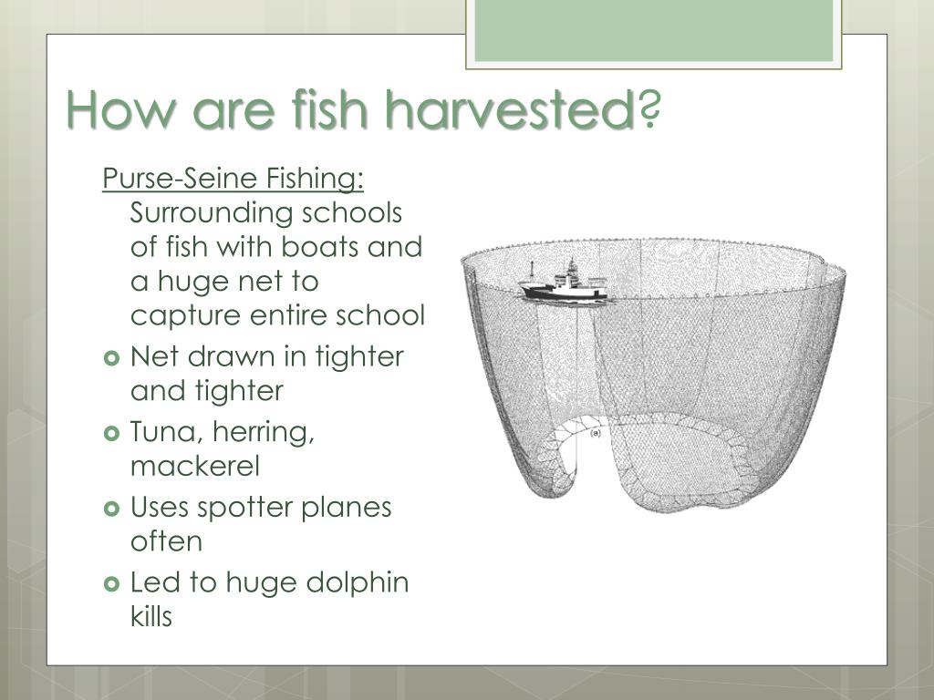 PPT - The environmental imperative of Sustainable Agriculture ...