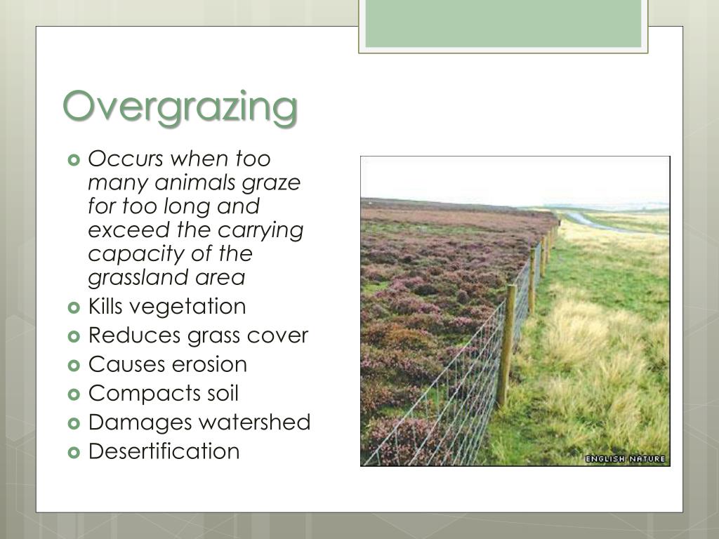 PPT - The environmental imperative of Sustainable Agriculture ...