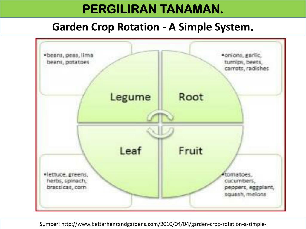 PPT - STRATEGI MANAJEMEN AGROEKOSISTEM KAWASAN PRODUKSI SAYURAN ...