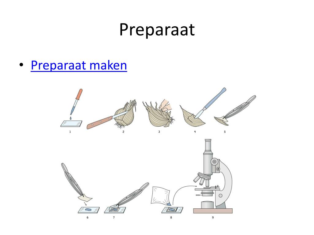 PPT - Marjolein Willemse l.m.willemse@maartens.nl Postvakje in oost ...