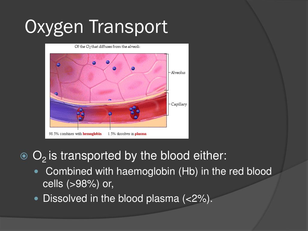 PPT - Transport of O2 & CO2 ABG Interpretation, acidosis & alkalosis ...
