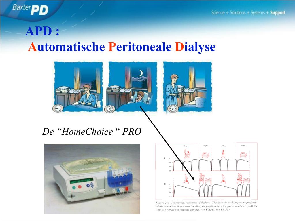 PPT - Basisbegrippen Peritoneale Dialyse AZ St-Jan Brugge 17 september ...