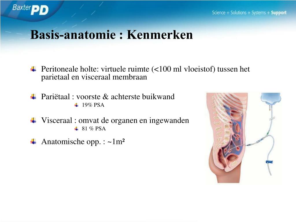 PPT - Basisbegrippen Peritoneale Dialyse AZ St-Jan Brugge 17 september ...
