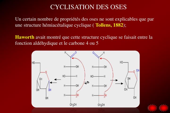 PPT - LES GLUCIDES PowerPoint Presentation - ID:1973629